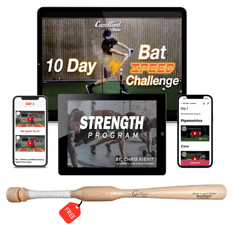Baseball – CamWood Bats